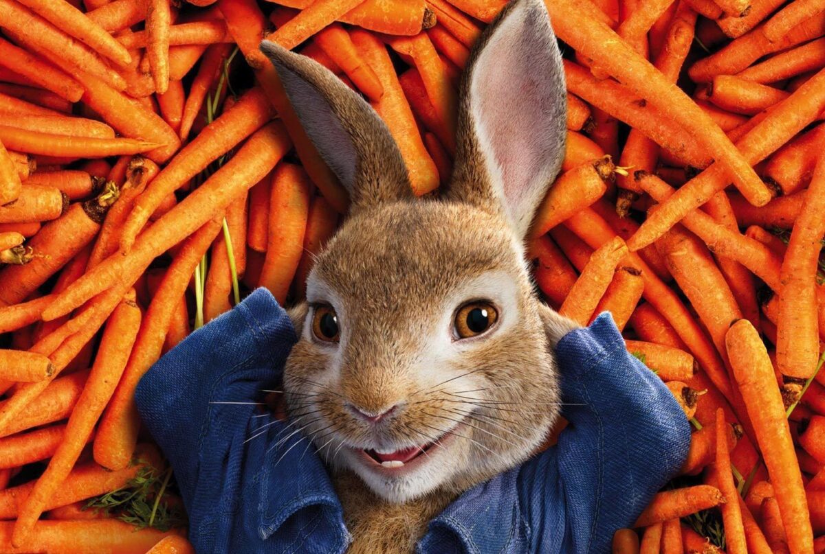 ‘Peter Rabbit’ hops onto Springville outdoor movie screen | News ...